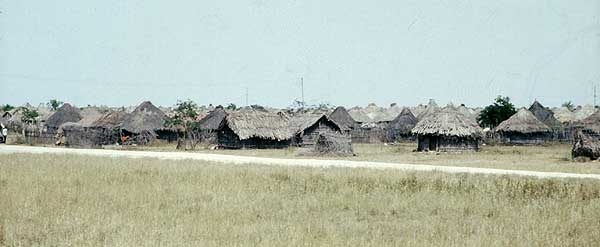 Østafrika 1982-83 - Somalia (1)